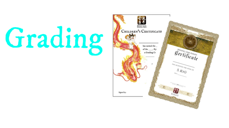Grading Application - Missing Link Martial Arts