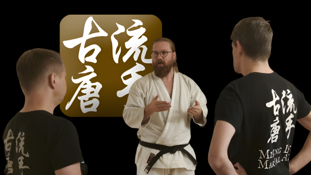 The Karate Buddy – Learning, Even When You Can’t Make it to the Dojo ...